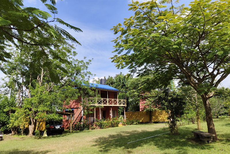 Low Budget Private Cottages And Resort In Masinagudi Start At ₹1500/-